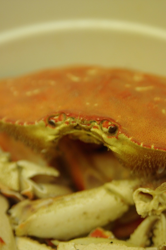 シーフードの季節到来: Caolitaの小径