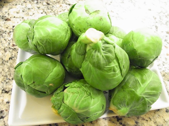 ブラッセルスプラウト: Caolitaの小径